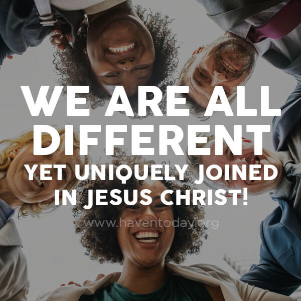 Different but the Same - HavenToday.org