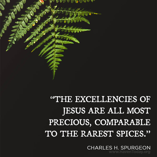 Excellence of Christ - HavenToday.org