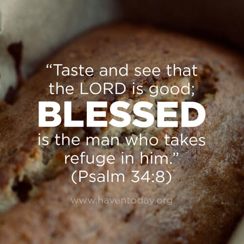 Honey from the Rock - HavenToday.org