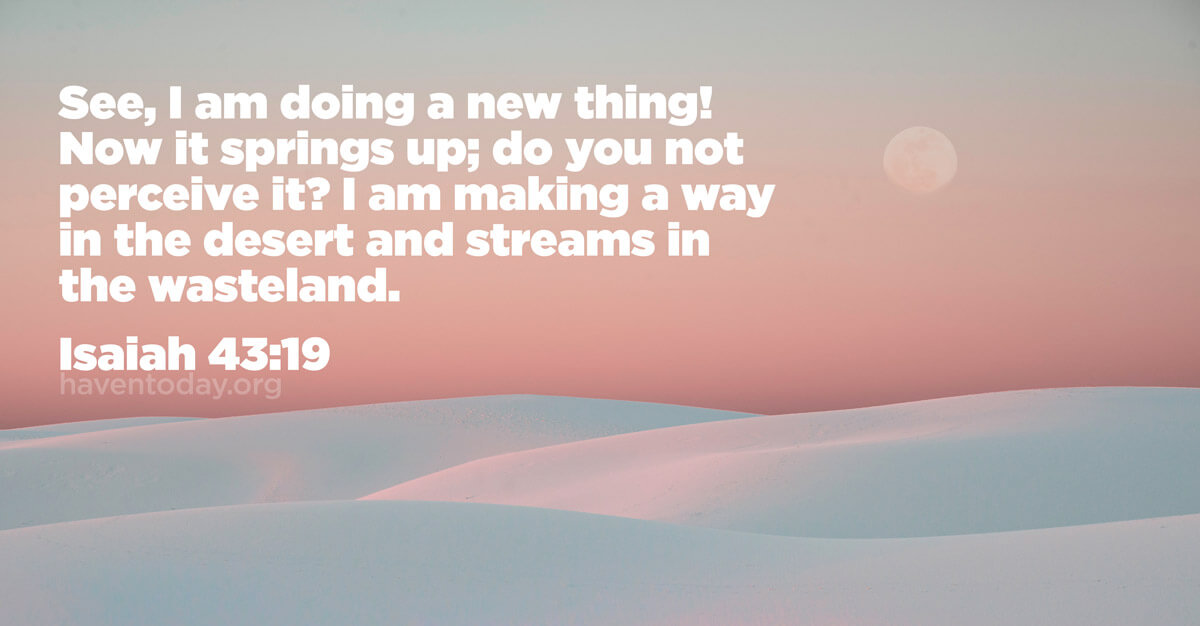 A New Newness - HavenToday.org