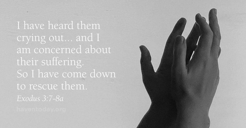 Overcoming Despair (1) - HavenToday.org