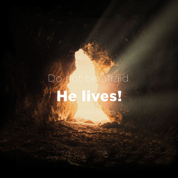 The Joy of Resurrection - HavenToday.org