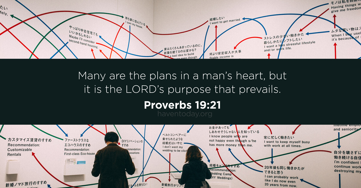 Divine Interruption - HavenToday.org