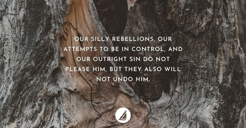 God Laughs - HavenToday.org