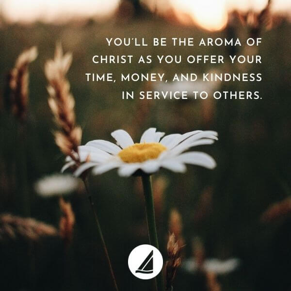 God Savors Aromas - HavenToday.org