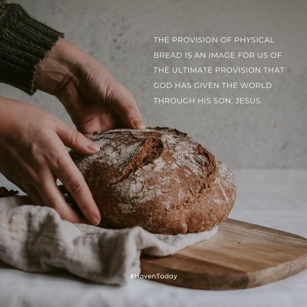 Our Daily Bread of Life - HavenToday.org