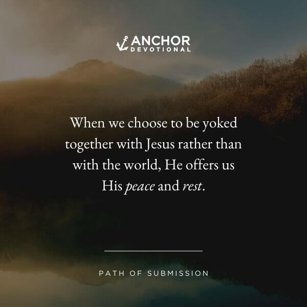 Path of Submission - HavenToday.org