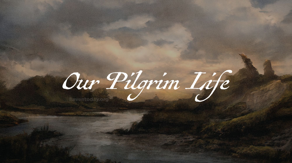 Our Pilgrim Life, Ep. 10 - Marked Safe - HavenToday.org