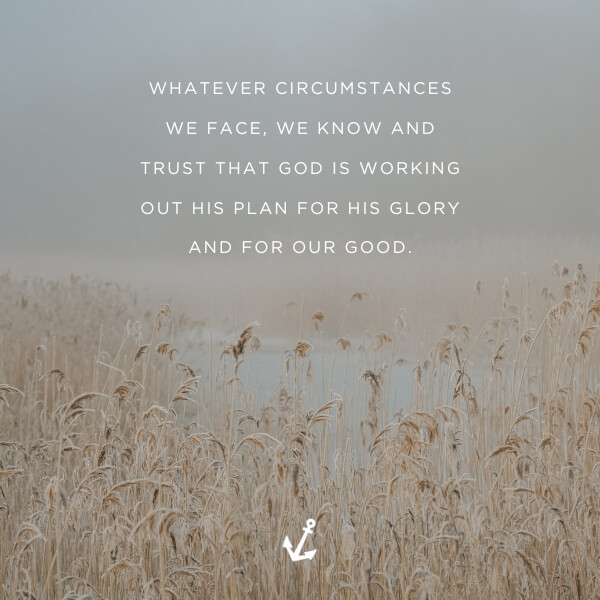 God Has a Plan - HavenToday.org