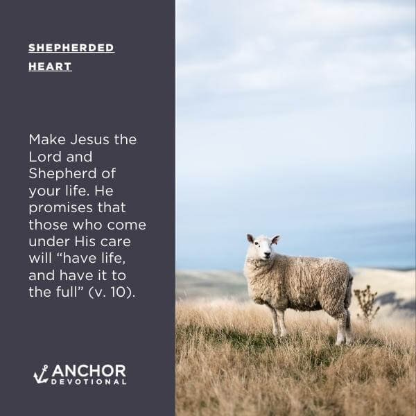 Shepherded Heart - HavenToday.org