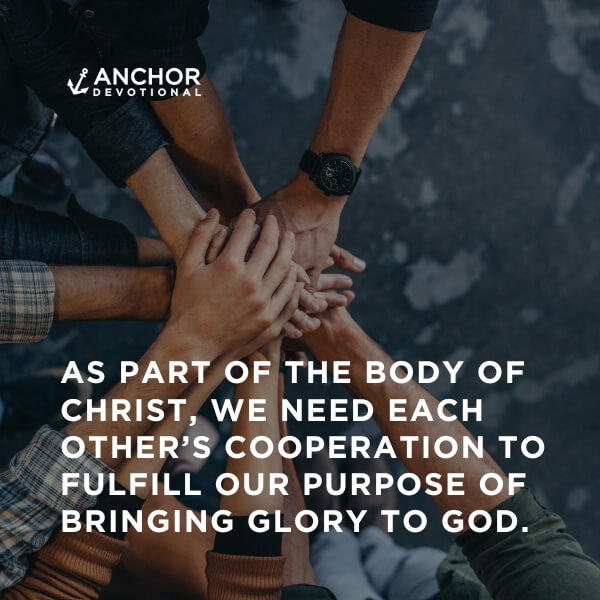 Members of One Another - HavenToday.org