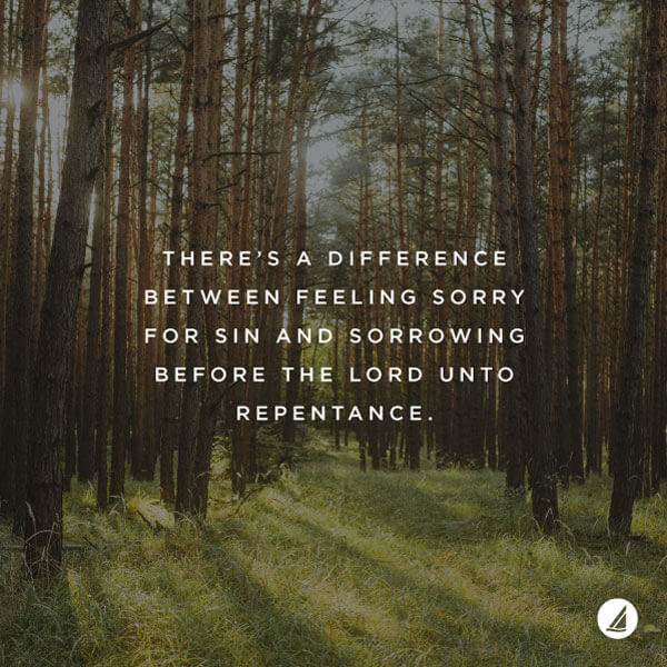 Godly Sorrow - HavenToday.org