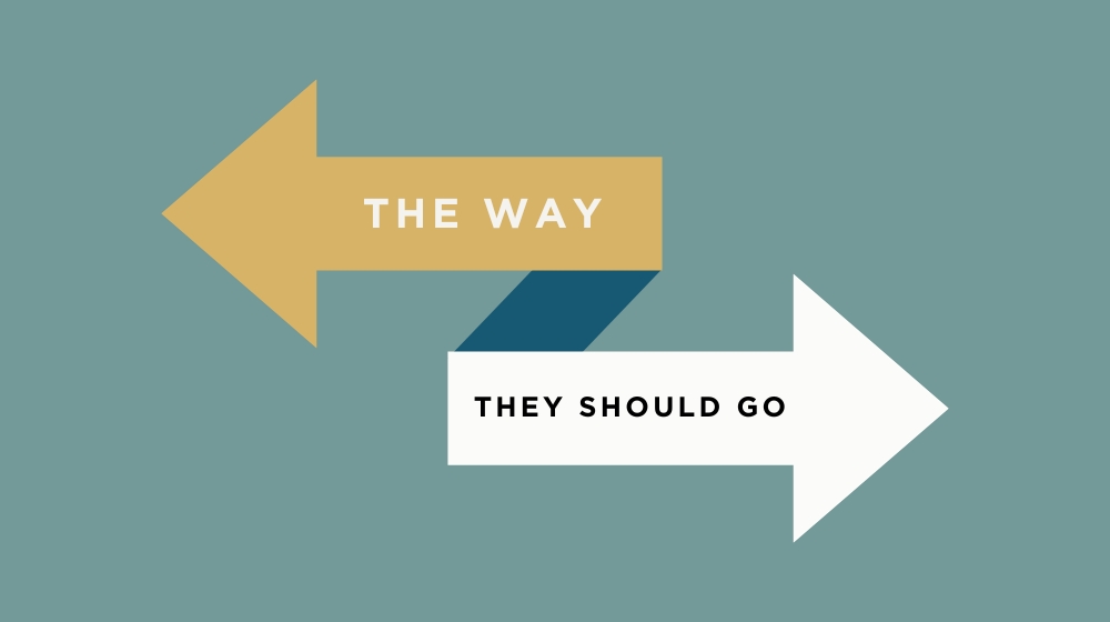 The Way They Should Go - Haven Today with David Wollen