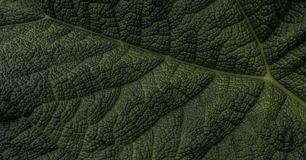 Living by Example - HavenToday.org