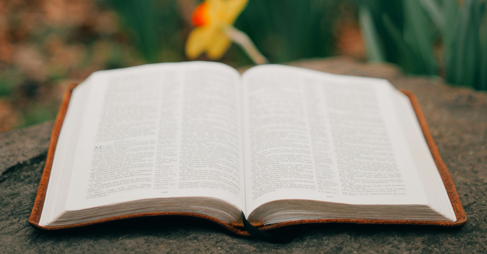 The Forgotten God - HavenToday.org