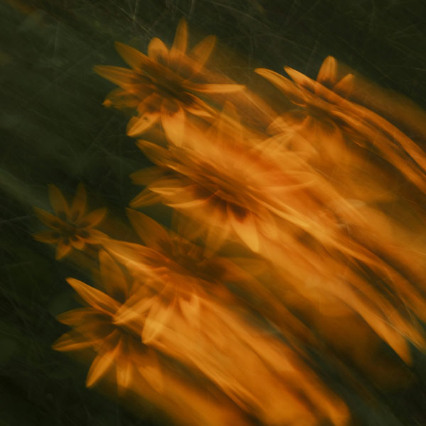 Lamech’s Revenge; Christ’s Forgiveness - HavenToday.org